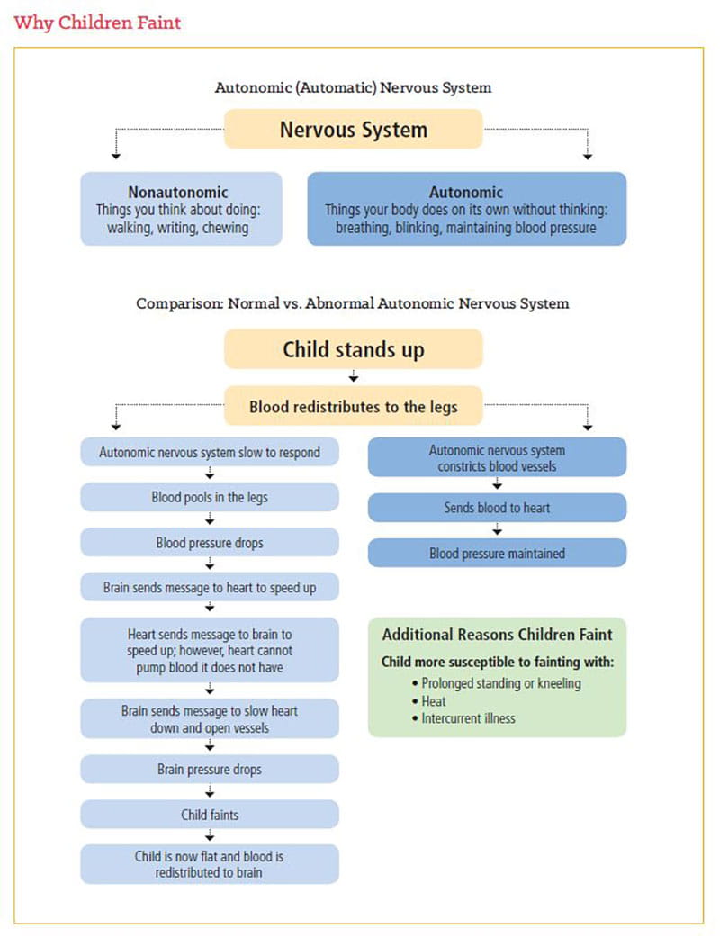 Syncope and Palpitation Evaluation and Guidelines | University ...