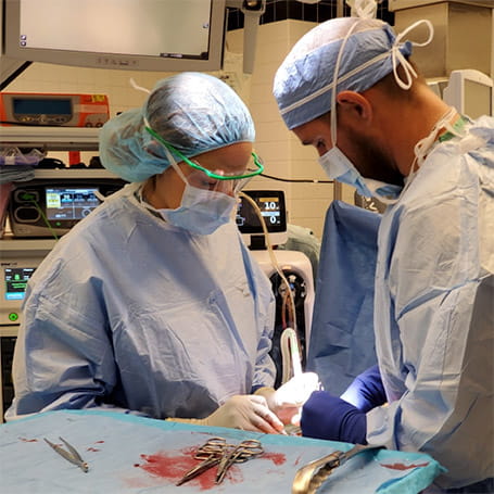 Flexible Endoscopy/ Foregut Fellowship | Graduate Medical Education ...