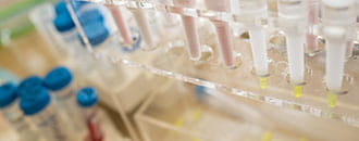 Tools for the Research Community | Research | University Hospitals ...