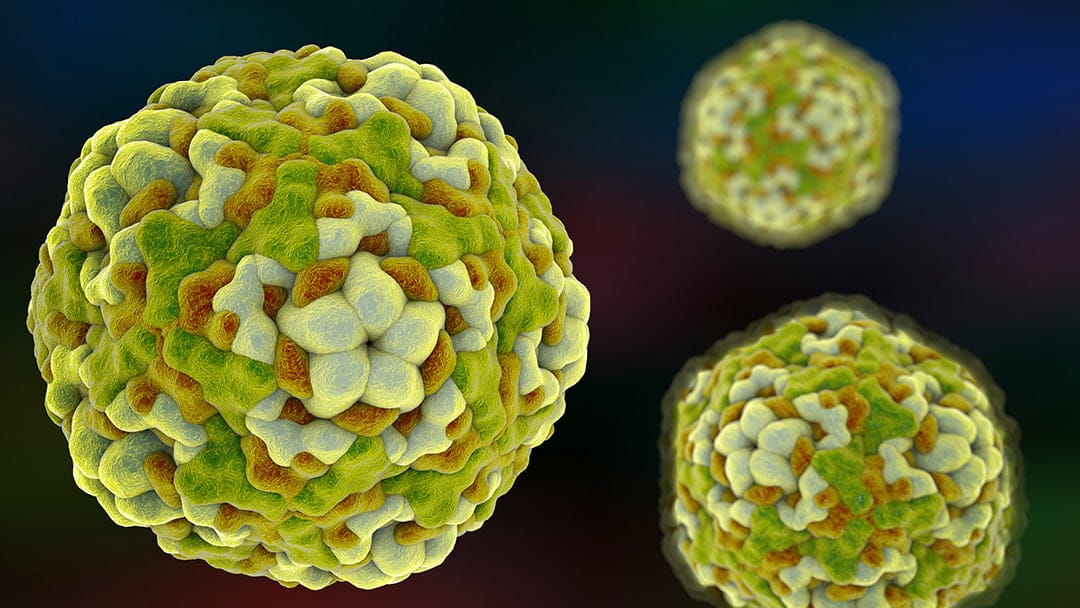 Spike in Enterovirus Cases in Children: What You Need to Know ...