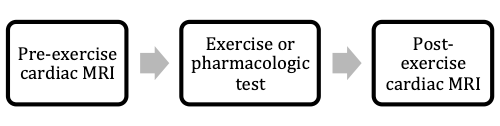 Exercise and Pharmacologic Cardiac Magnetic Resonance Imaging Services ...