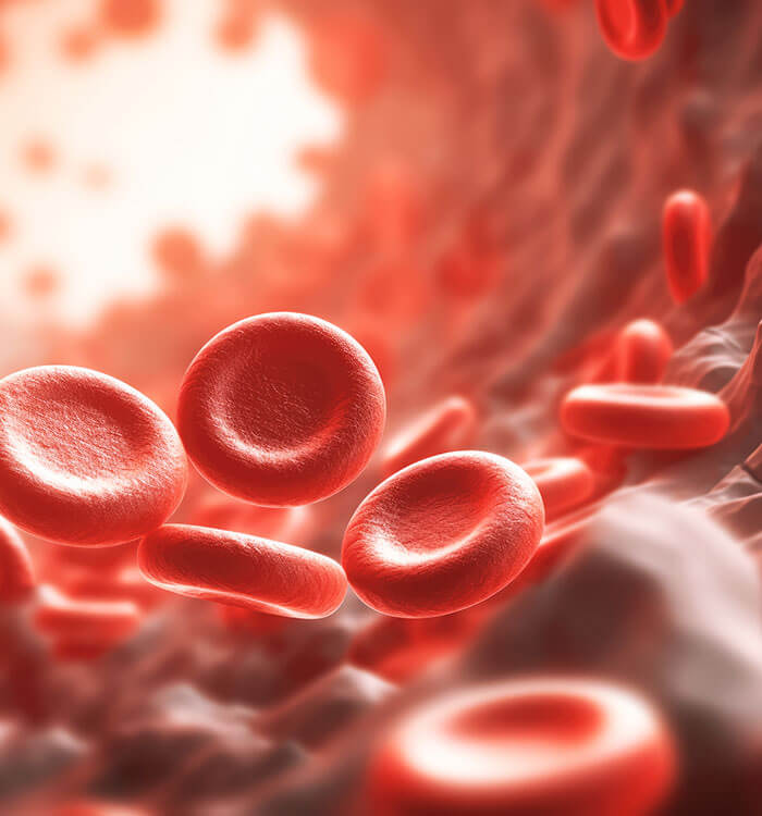 Executing a Data-Driven Method for Transfusion Management with ...