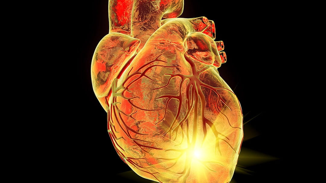 Heart Disease - Early Warning Signs, Diagnosis and Treatment ...