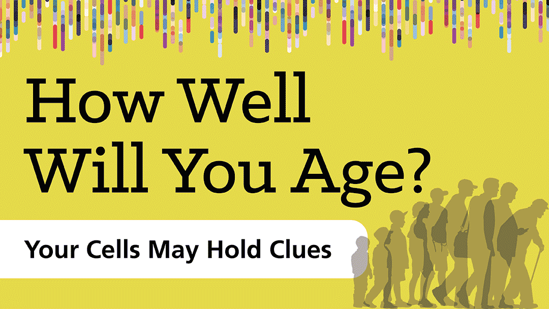 How Well Will You Age? Your Cells May Hold Clues | University Hospitals
