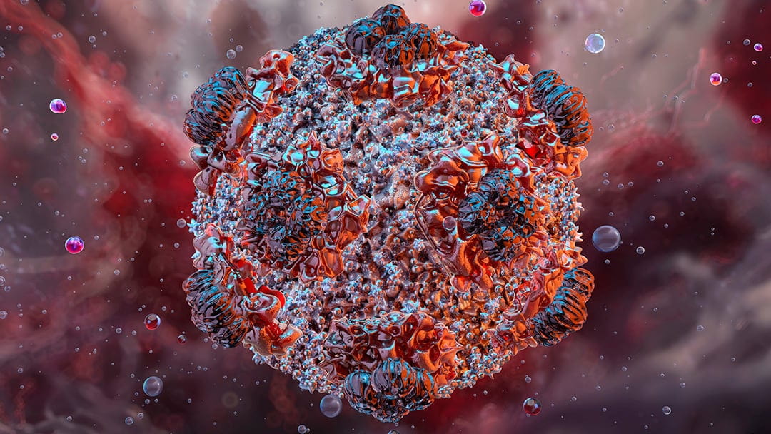 Hantavirus Pulmonary Syndrome: A Rare but Serious Viral Illness ...