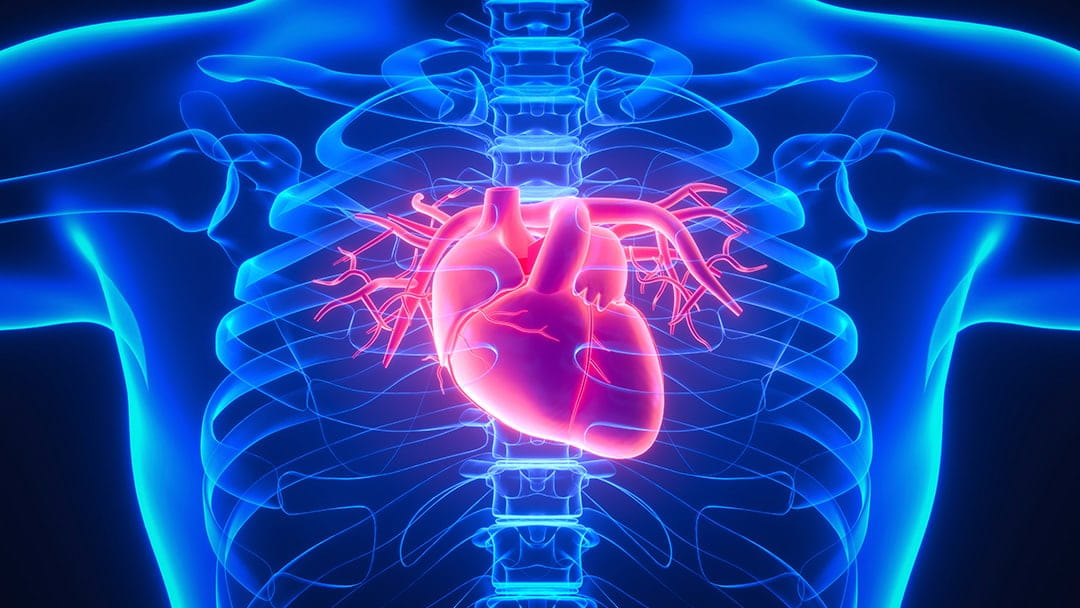 When Should You Consider Genetic Testing for Heart Disease ...