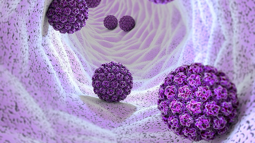 5 Things You Need to Know About HPV | University Hospitals