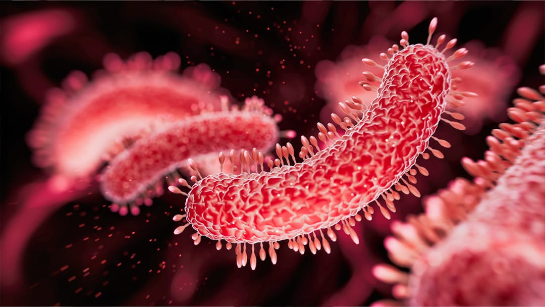 What to Know About Legionnaires’ Disease | University Hospitals
